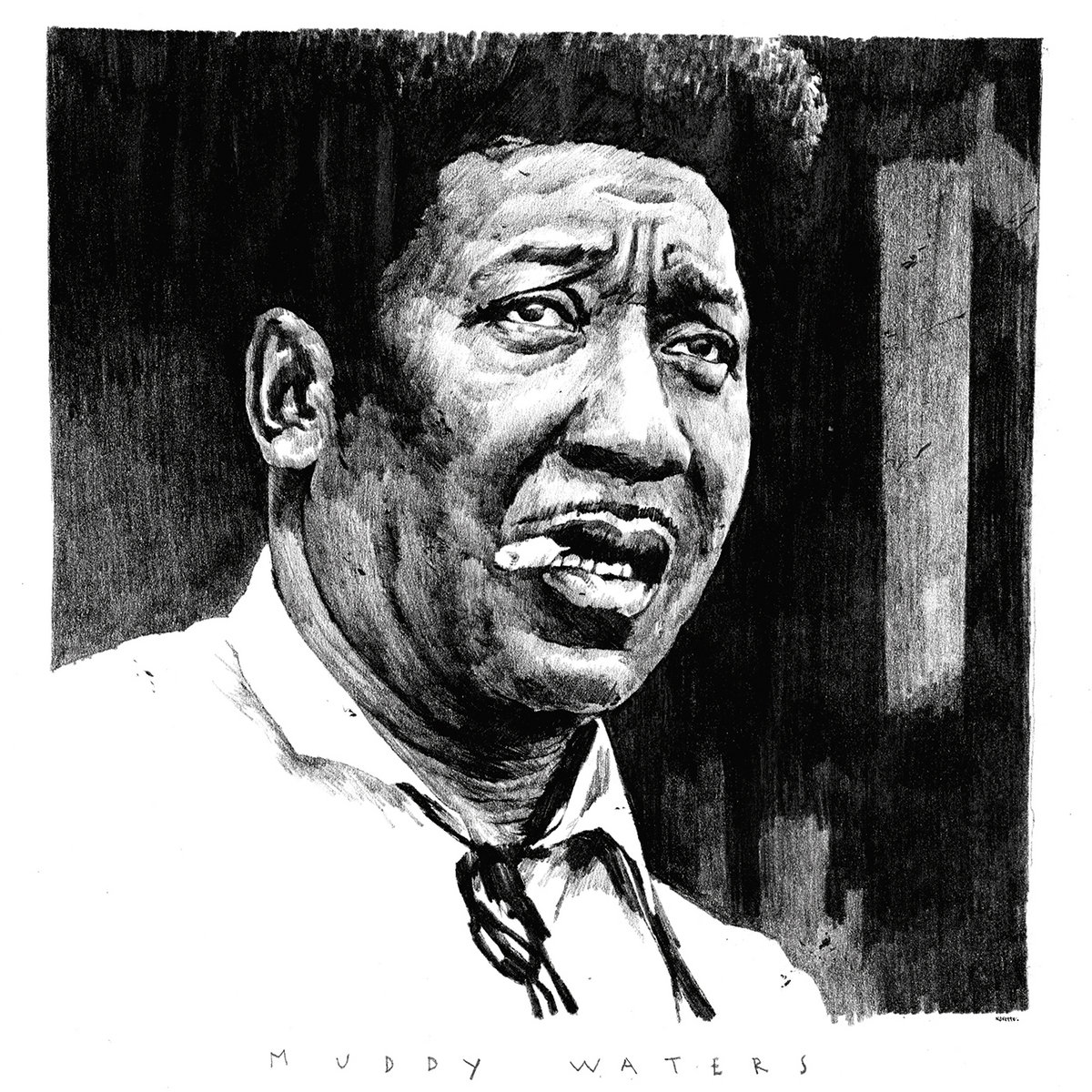 MUDDY WATERS Can t Be Satisfied Vinyl LP black Bigo t Records MUDDY WATERS Can t Be Satisfied Vinyl LP black Bigo t Records