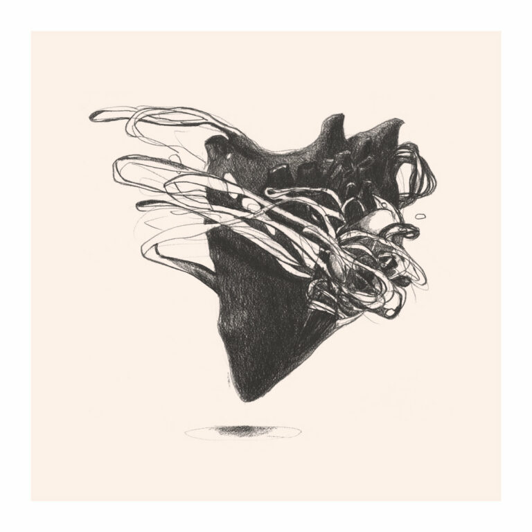 BERCEAU DES VOLONTÉS SAUVAGES – Bigoût Records